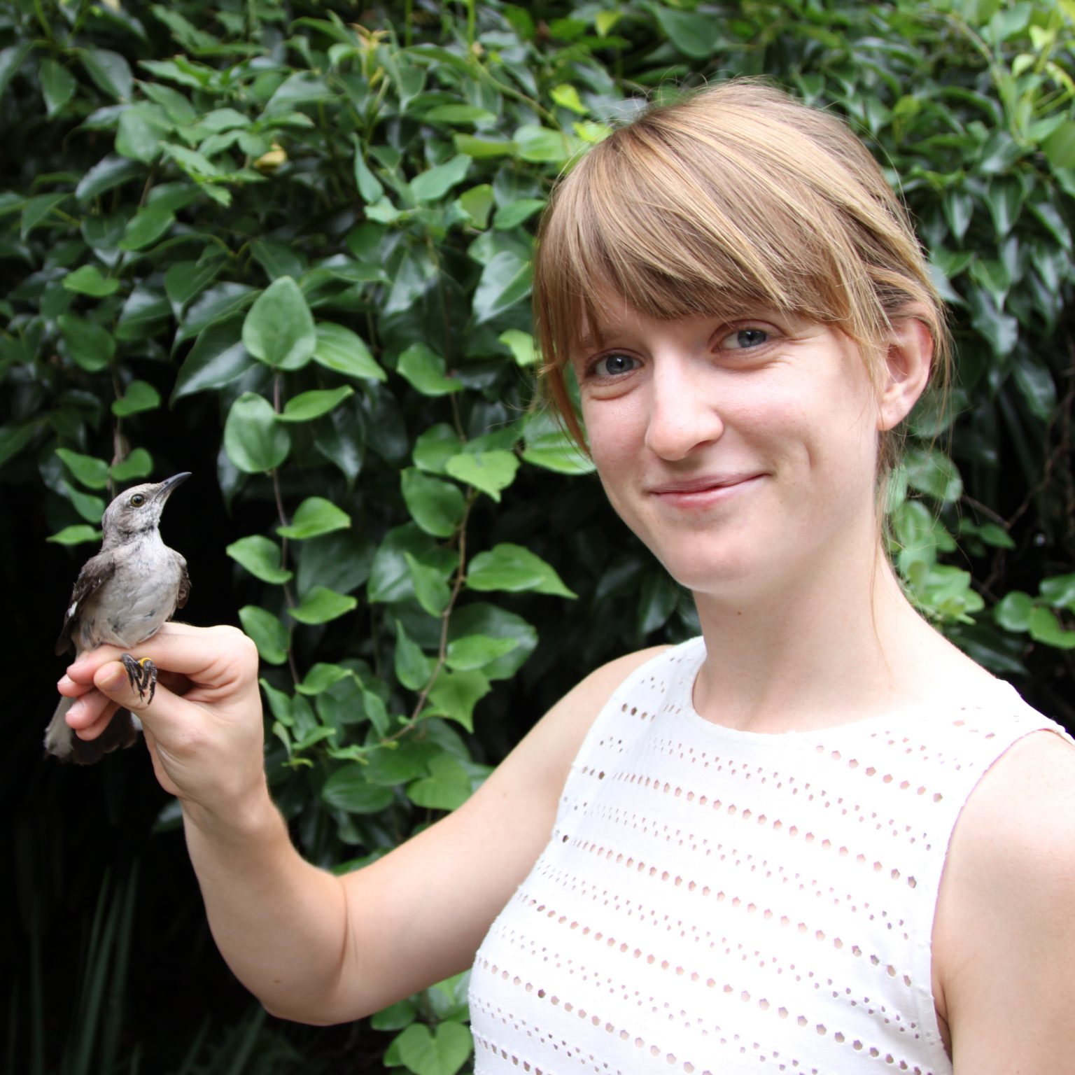 What is RCR? – CUR-eLearning